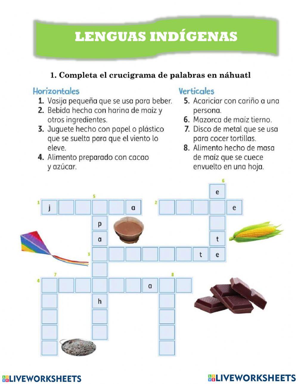 Lenguas indígenas 0528 | Alejandra Vásquez Jácome