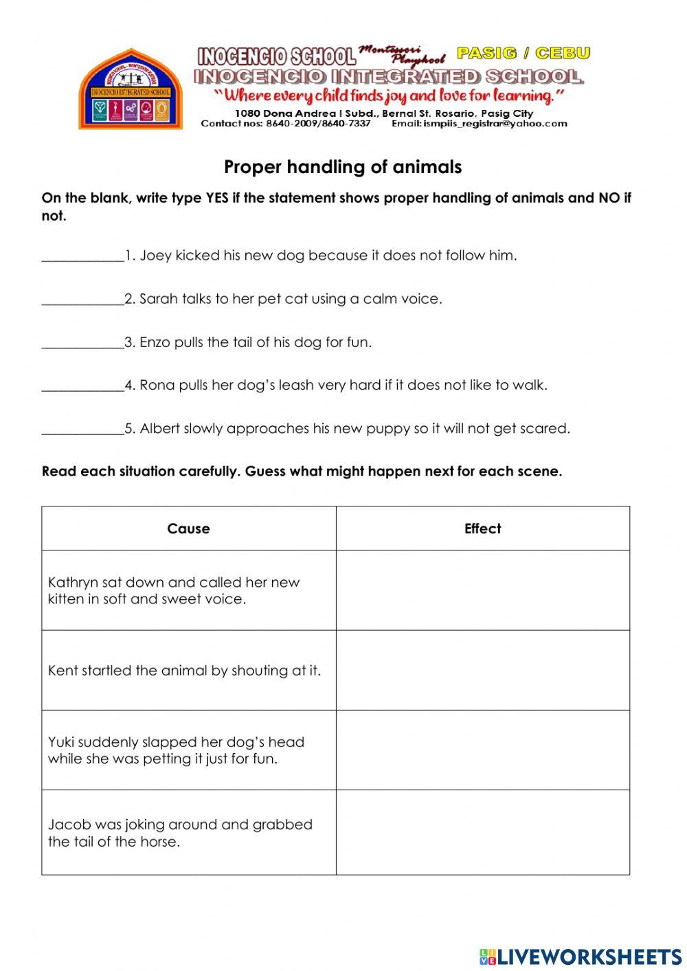 6860821 | Proper Handling of animals | teacherangeline