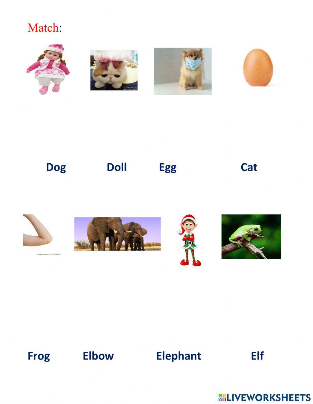 2005790 | Letter cdef | MsHangmooneso2603