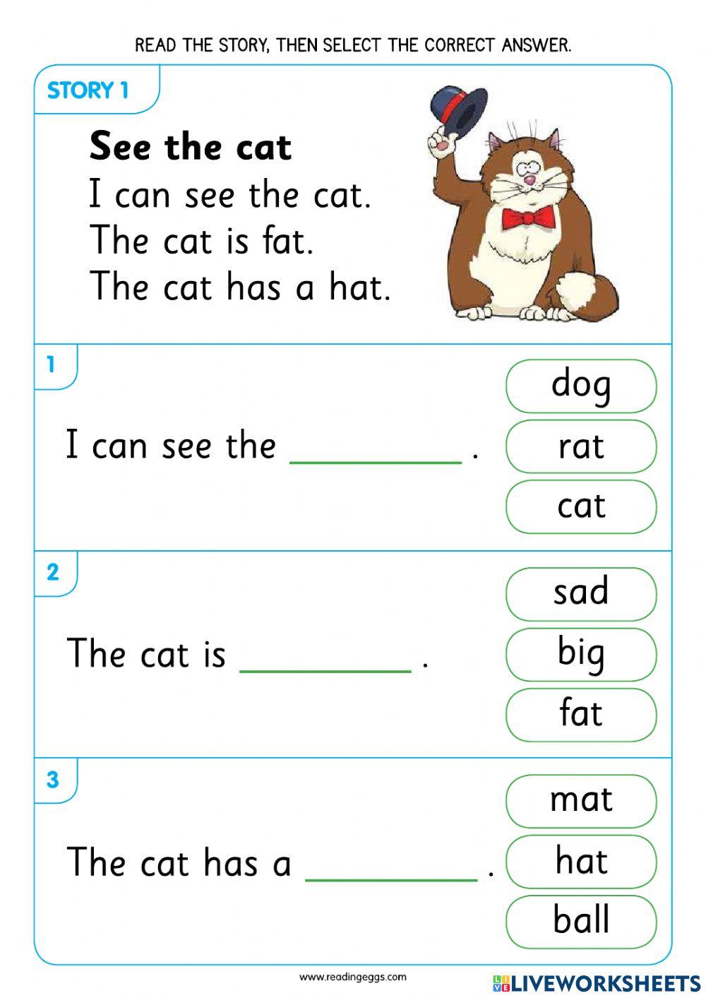 Reading Comprehension - 1-5 3994265 | TeacherHannahUR