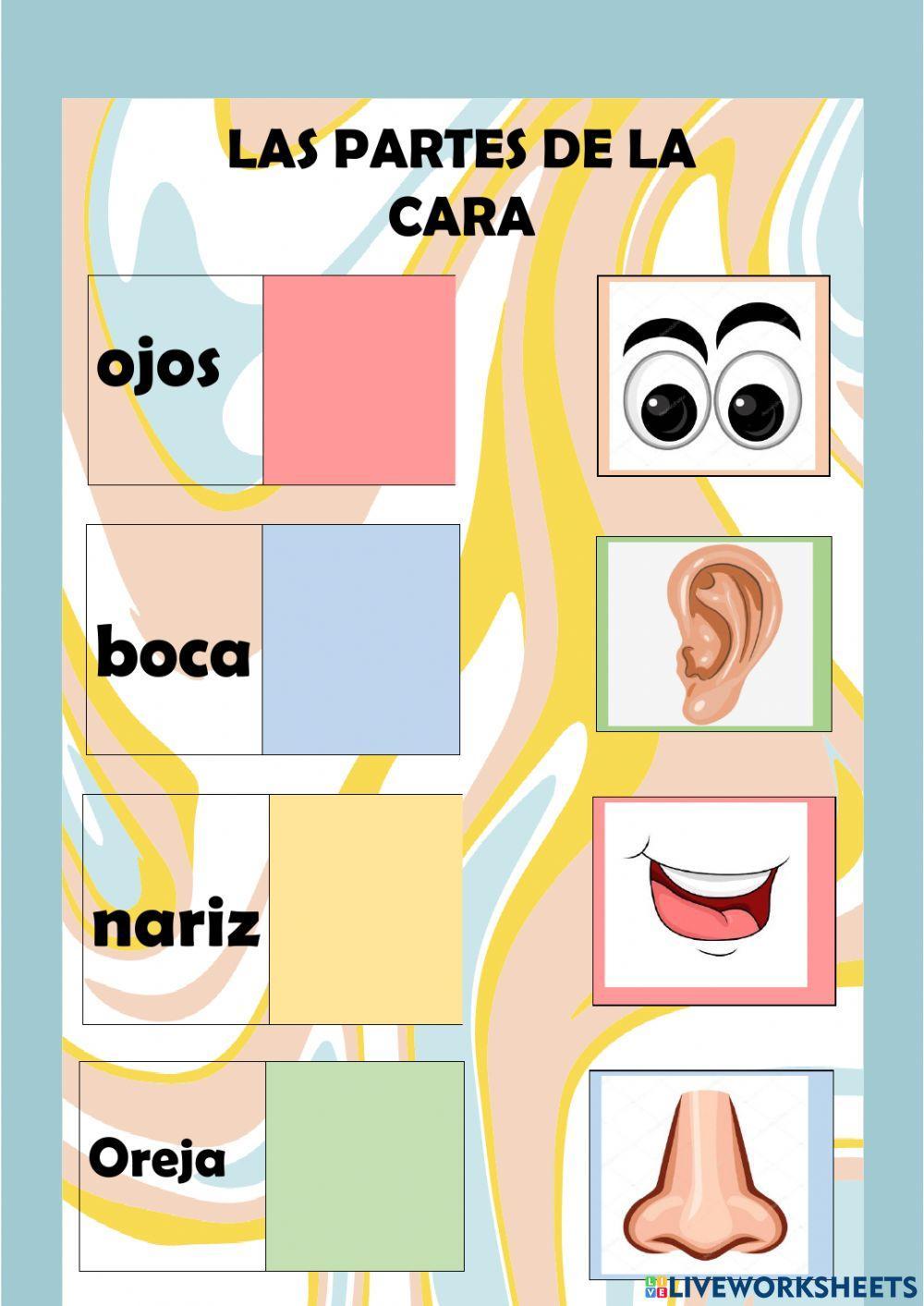 Las partes de la cara online activity for infantil | Live Worksheets