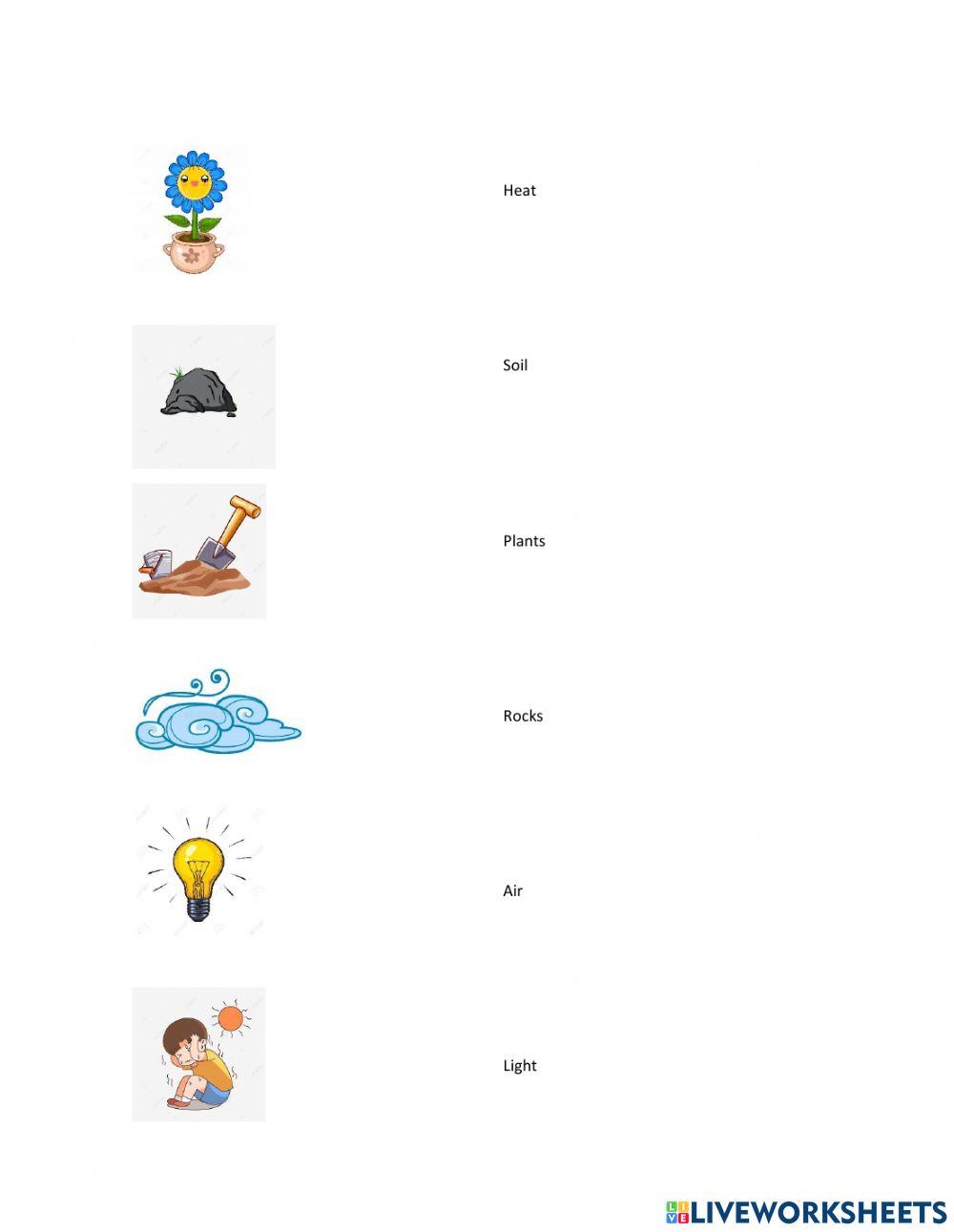 English online exercise for 1st grade | Live Worksheets