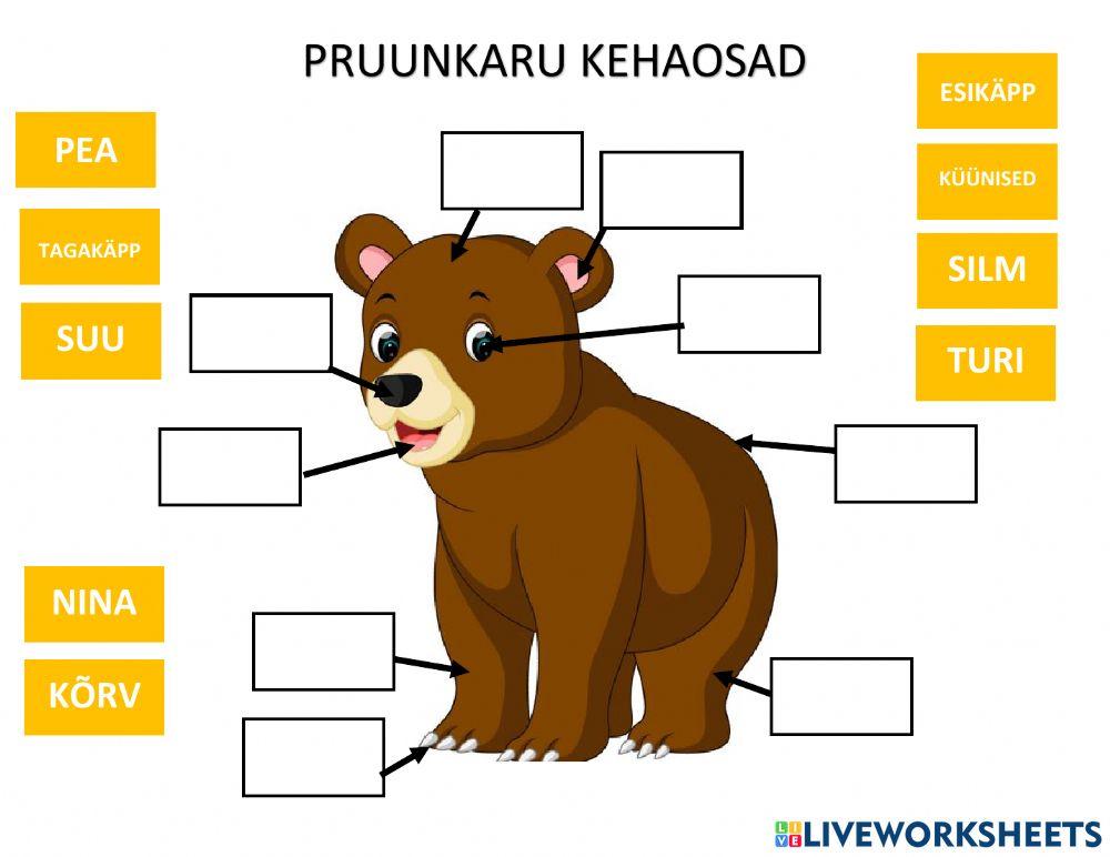 Pruunkaru kehao… | Free Interactive Worksheets | 1989763