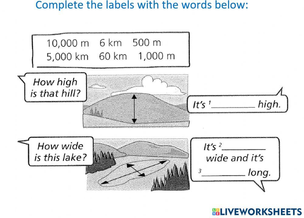 Listening about height and width worksheet | Live Worksheets
