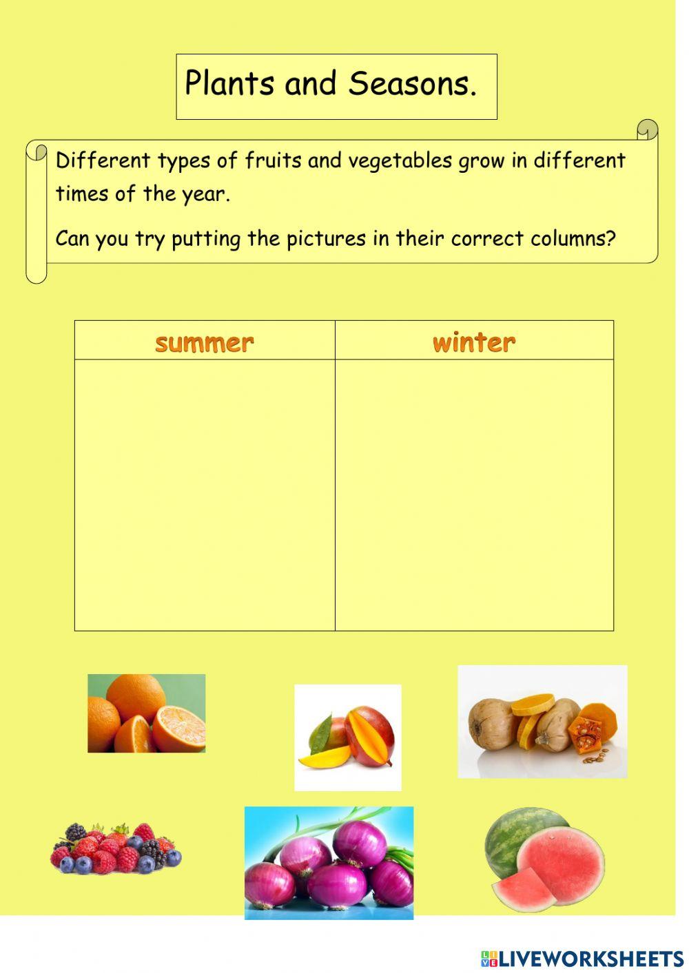 Seasons online exercise for 2 | Live Worksheets