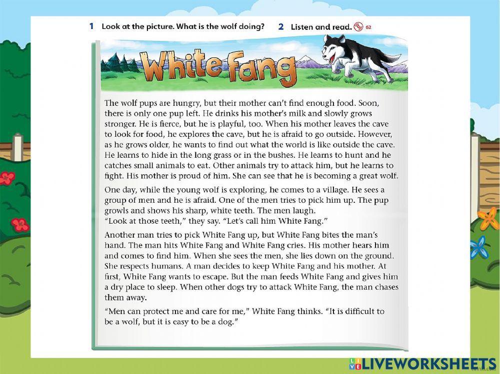 MS20223 | FF3 unit 6 extensive reading 1 2827127