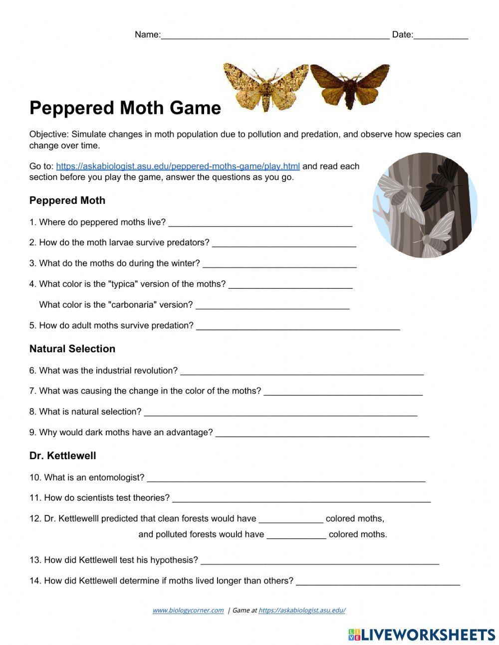 Peppered moths online exercise for | Live Worksheets