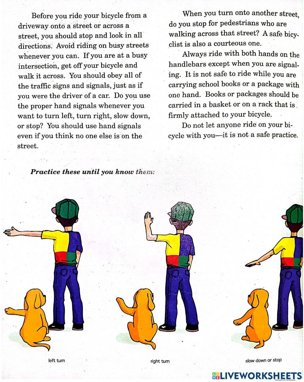 Safety Sam Says 2029818 | Andrea Aguilar | Live