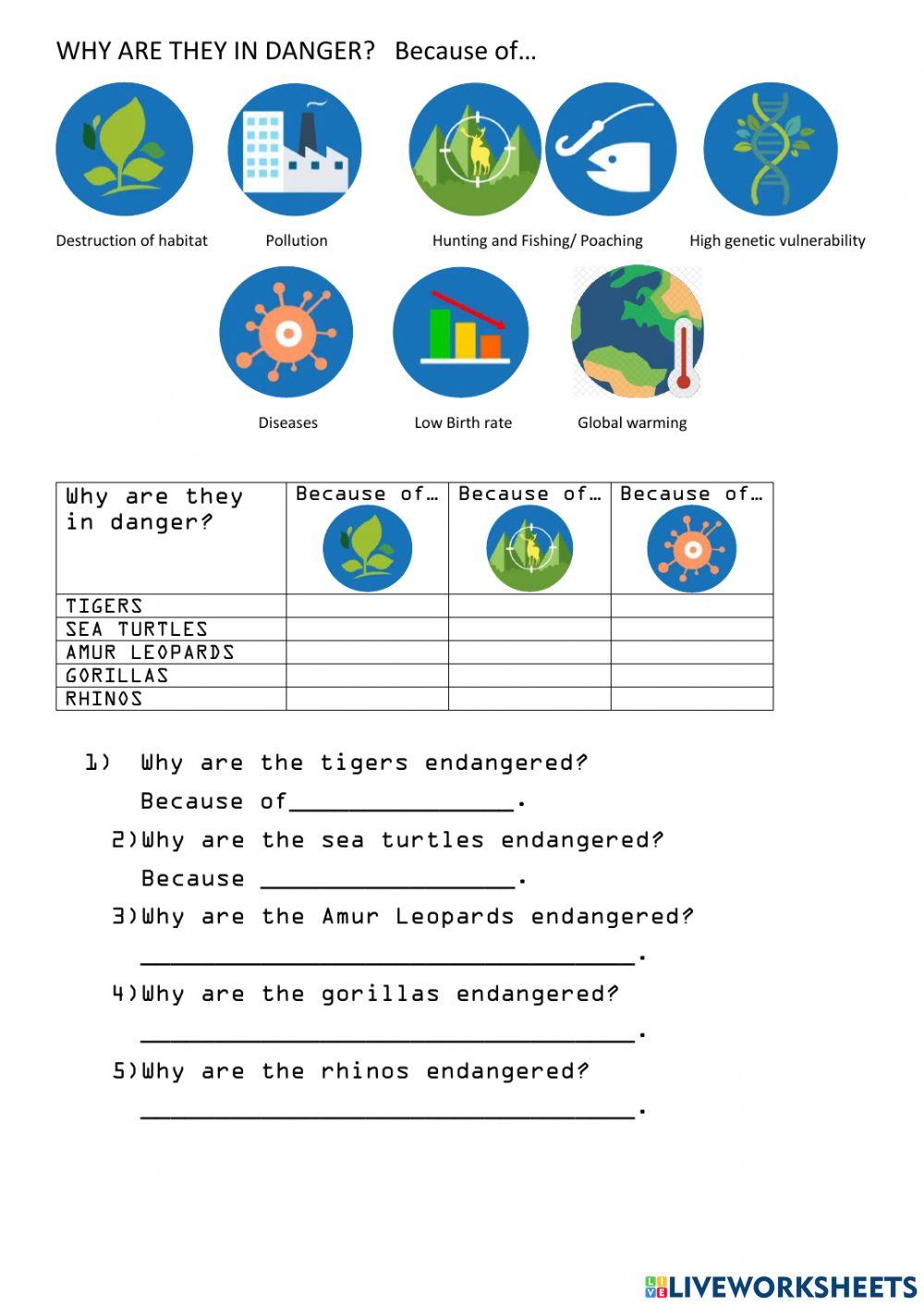 Why are they in danger? worksheet | Live Worksheets
