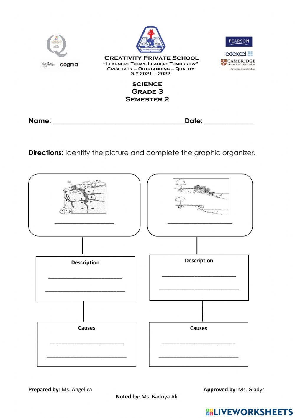 Grade 3 Worksheet online exercise for | Live Worksheets