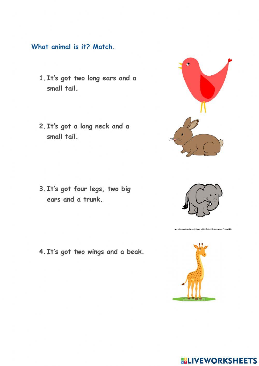 Animals online exercise for a1 | Live Worksheets