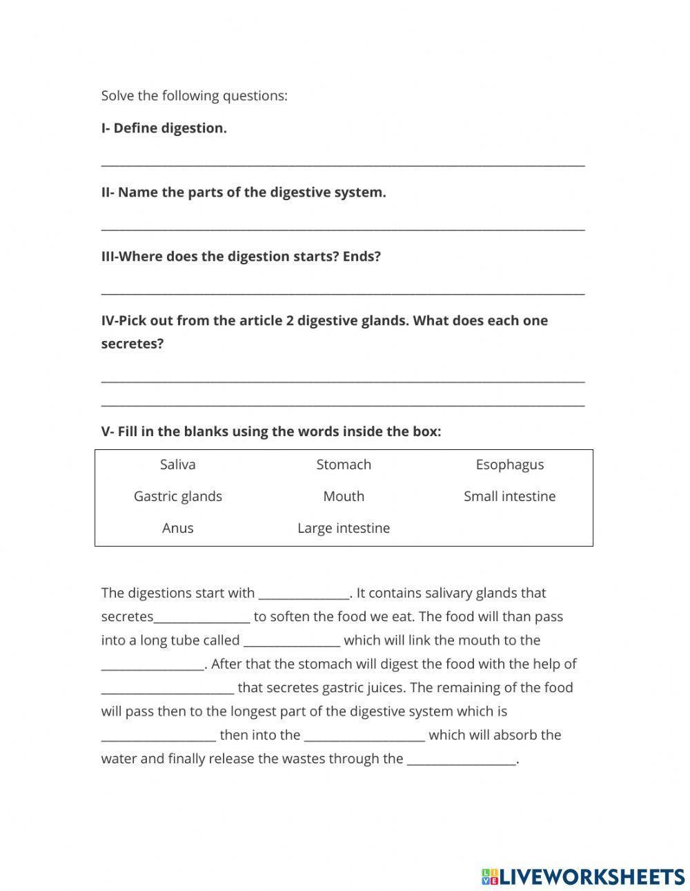 Digestive System Article 2034101 | Jibreel | Live
