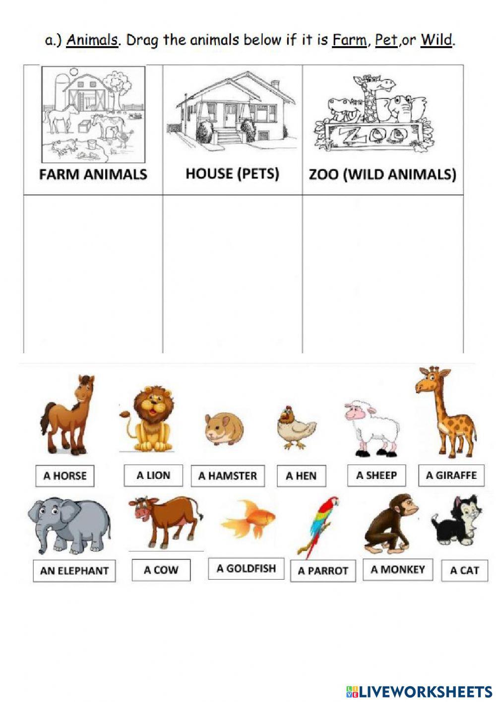 Animals online exercise for Grade 1 | Live Worksheets
