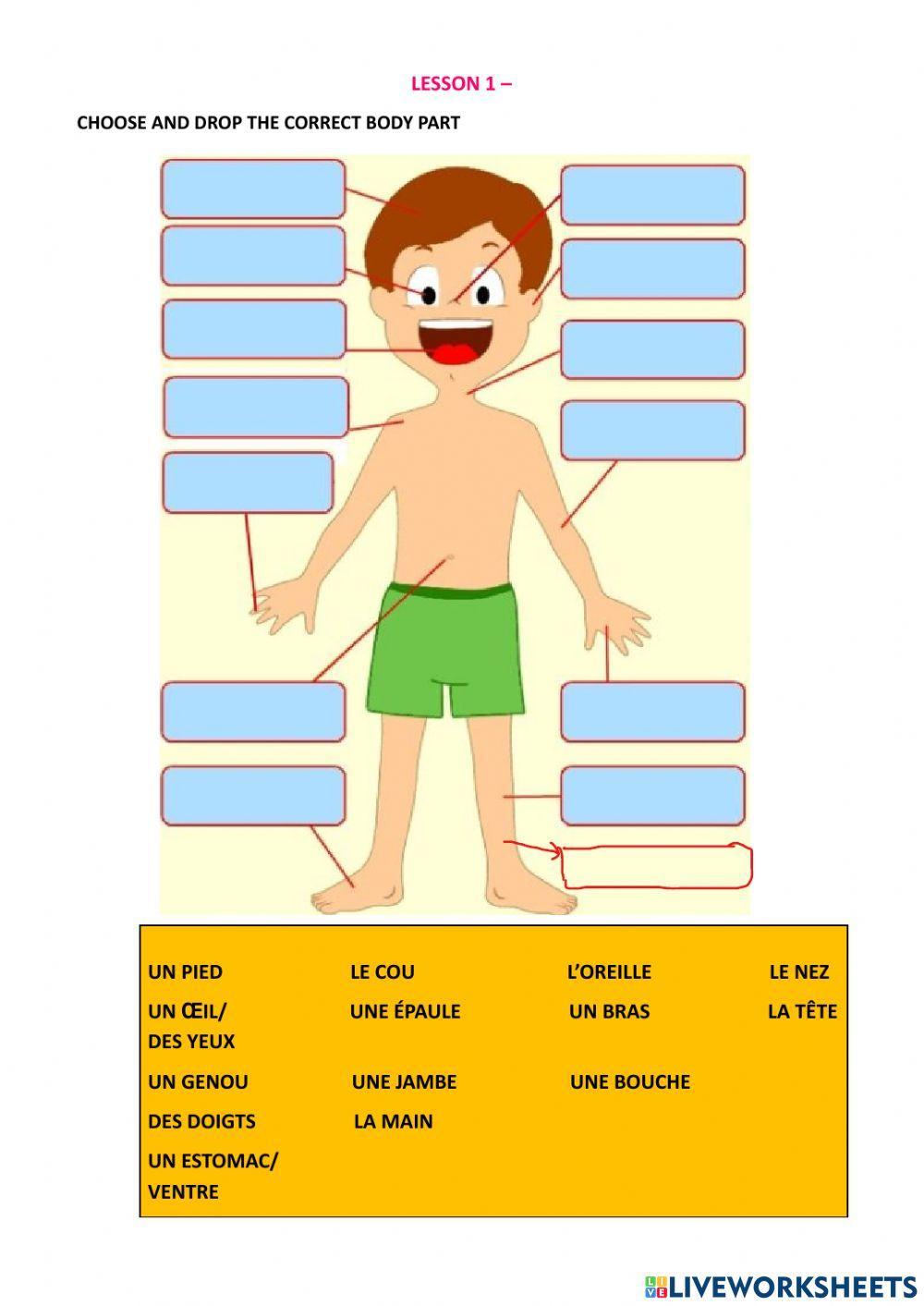 Body parts - les parties du corps online exercise for | Live Worksheets