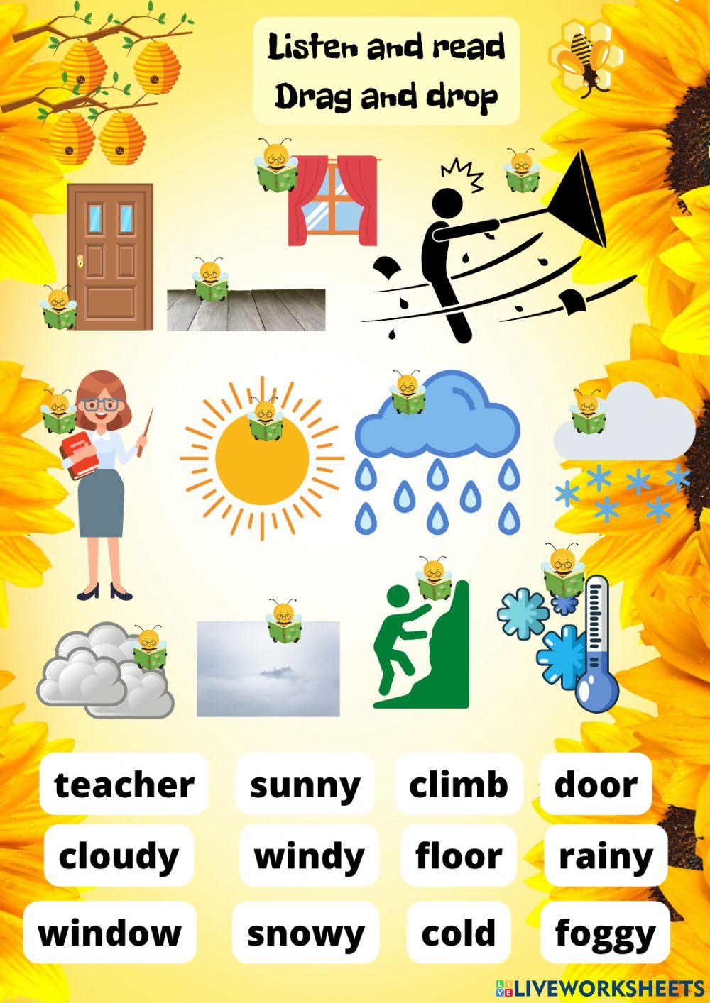 Word cards interactive worksheet | Live Worksheets