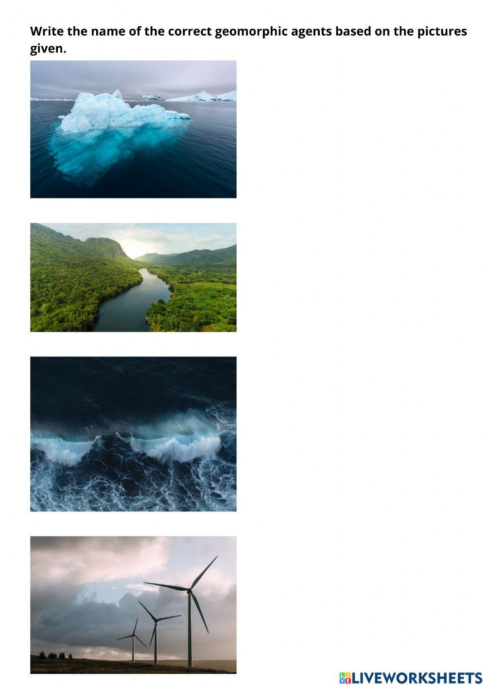 GEOMORPHIC AGENTS online exercise for | Live Worksheets