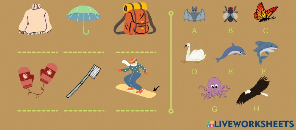 Fun for flyers - 06A,B worksheet | Live Worksheets