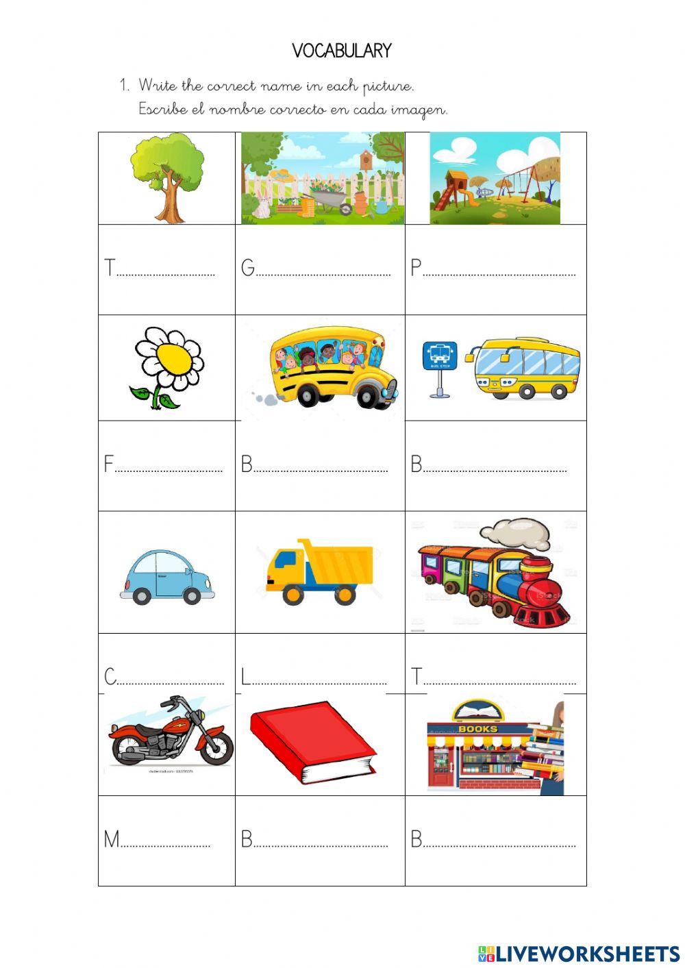 Vocabulary A2 interactive worksheet | Live Worksheets