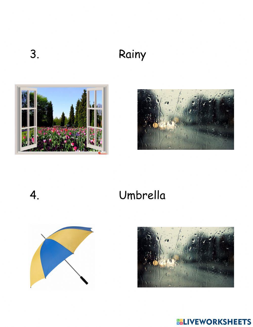 This is Lily worksheet | Live Worksheets