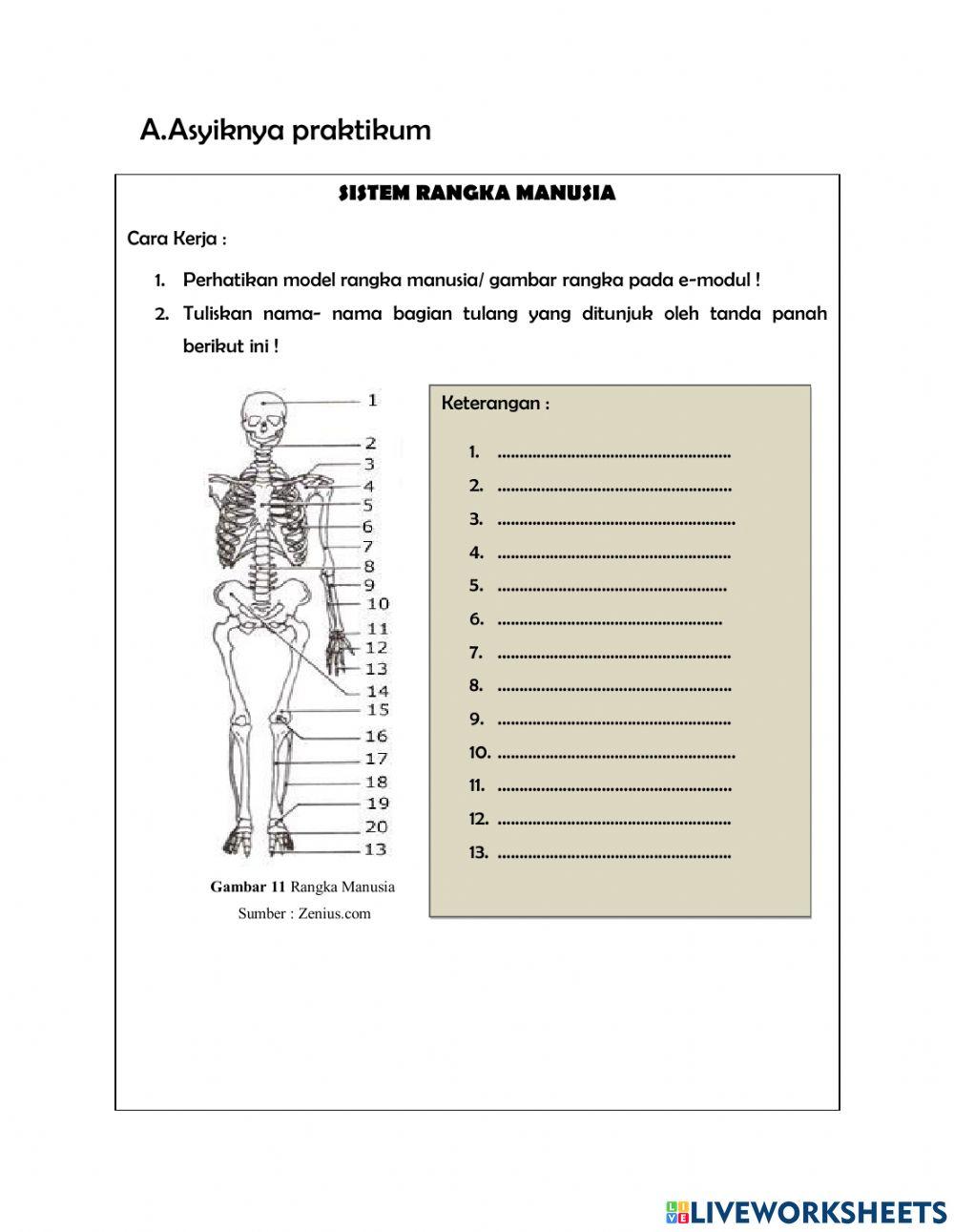 Lembar Jawaban PB 4 Sistem Rangka Manusia 2038163