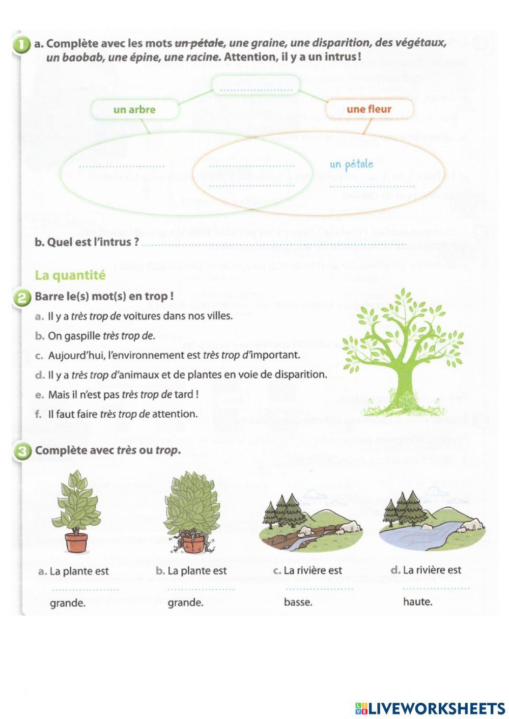 Module 3 leçon 3 p2 devoir worksheet | Live Worksheets