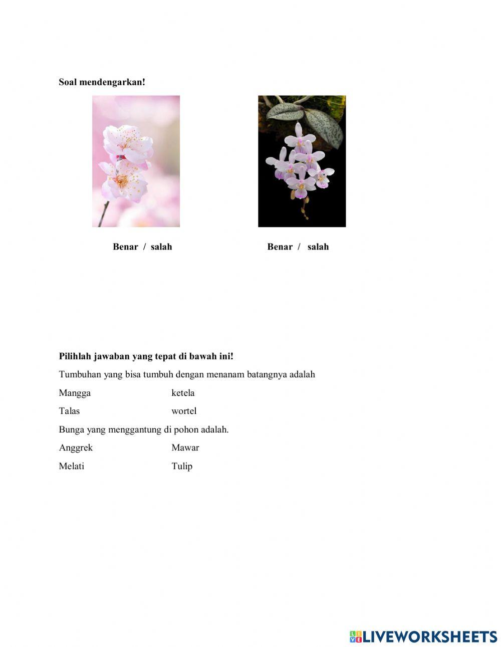Flora dan fauna online pdf worksheet | Live Worksheets
