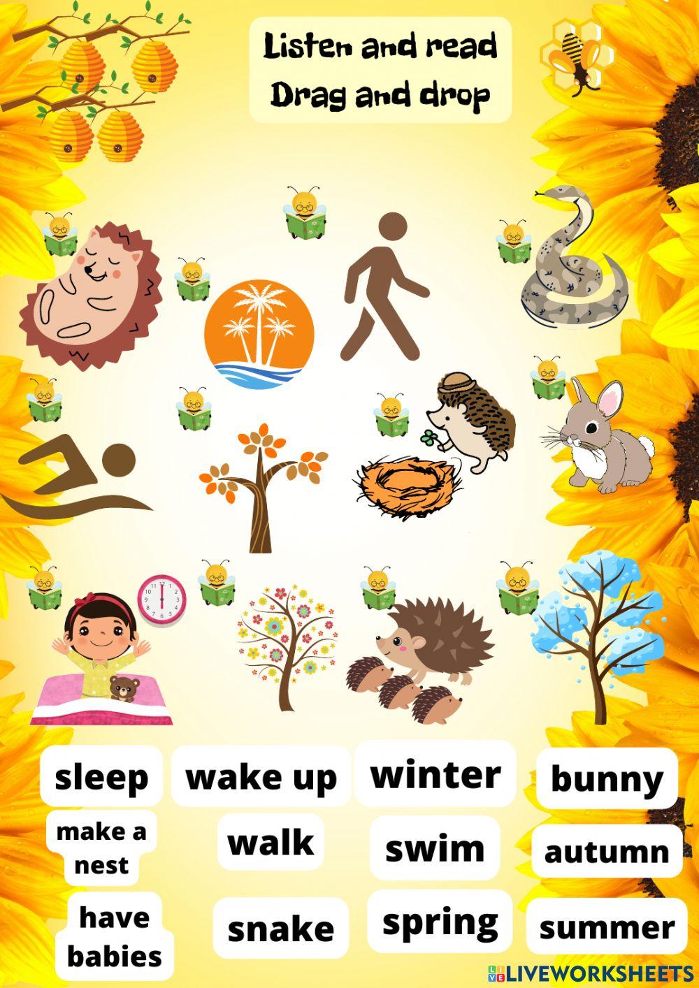 Word cards 8 worksheet | Live Worksheets