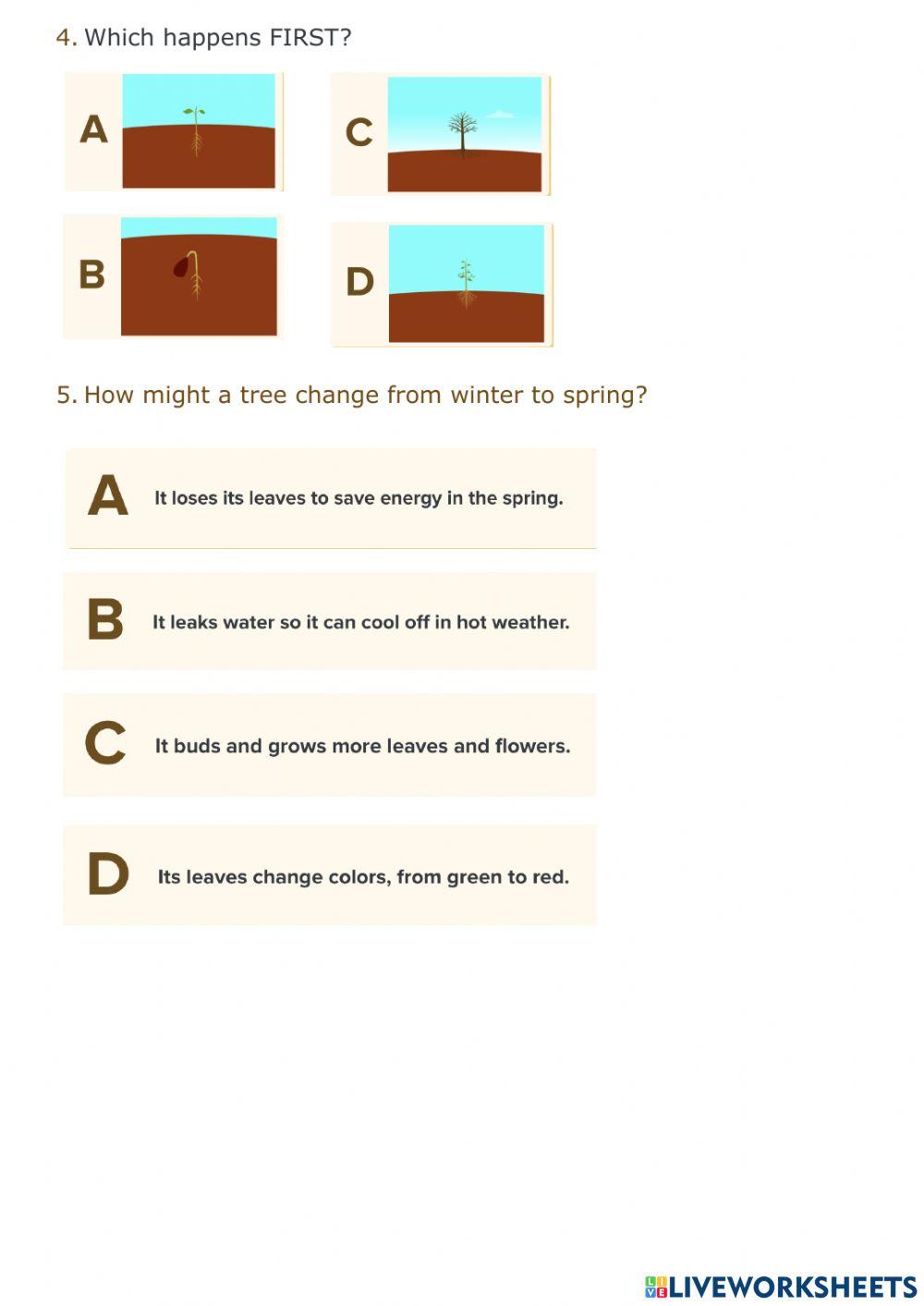 2041417 | Spring Worksheet | Clint | LiveWorksheets