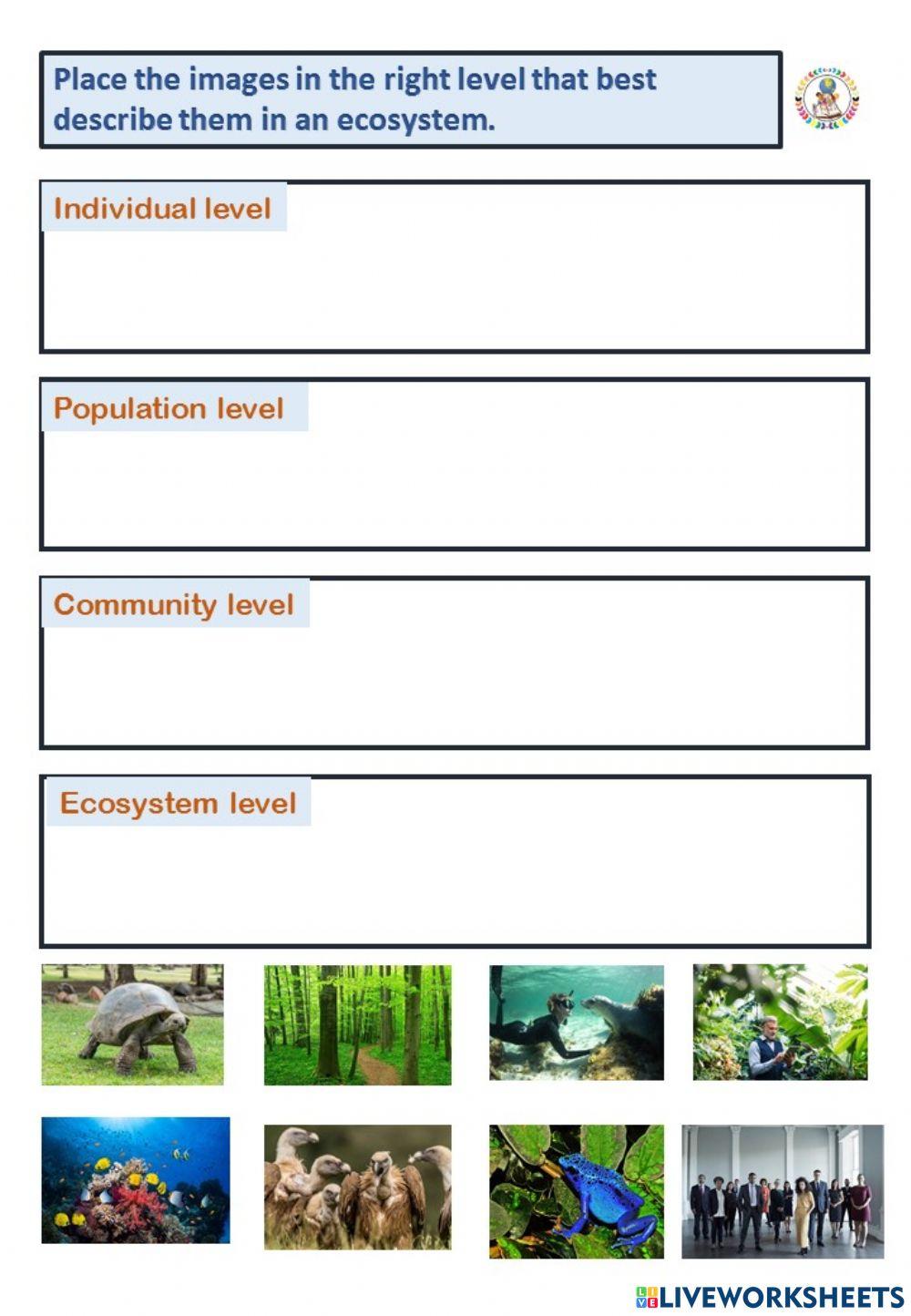 Branches Of Science Interactive Worksheet Live Worksheets, 45% OFF Branches Of Science Interactive Worksheet Live Worksheets, 45% OFF