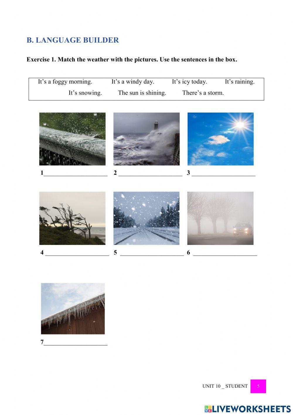 M01-10B-Language Buider worksheet | Live Worksheets