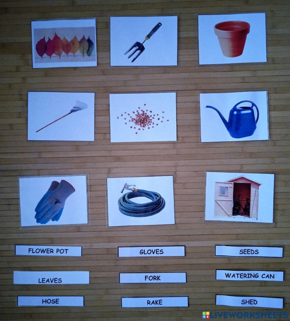 Gardening (II) worksheet | Live Worksheets