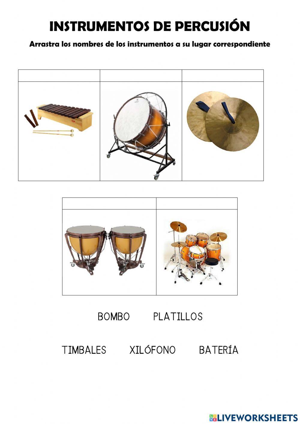 Instrumentos De Percusión Con Nombres