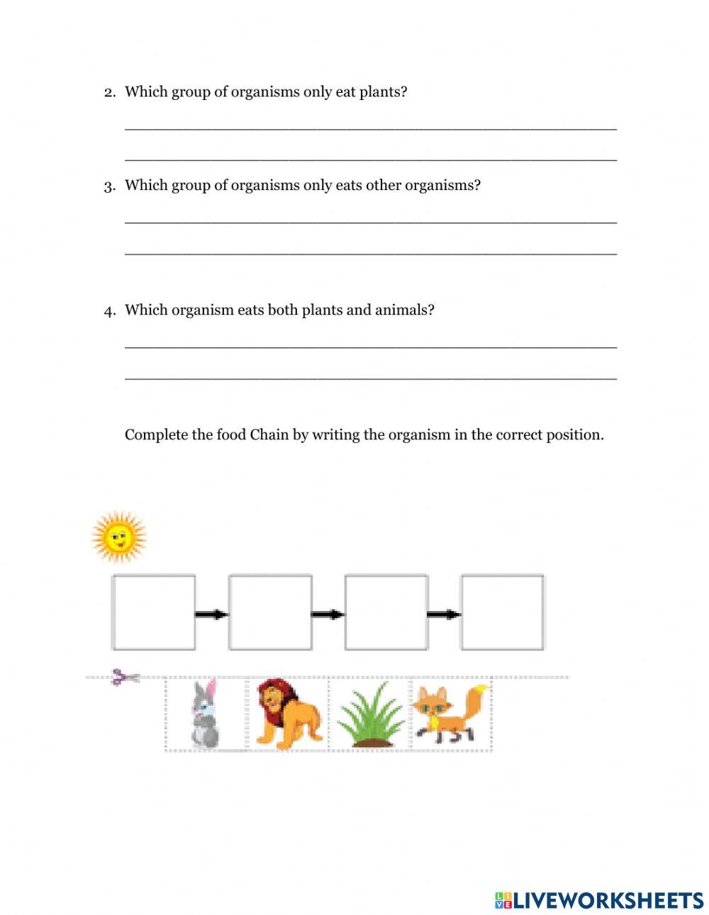Science Quiz online exercise for | Live Worksheets