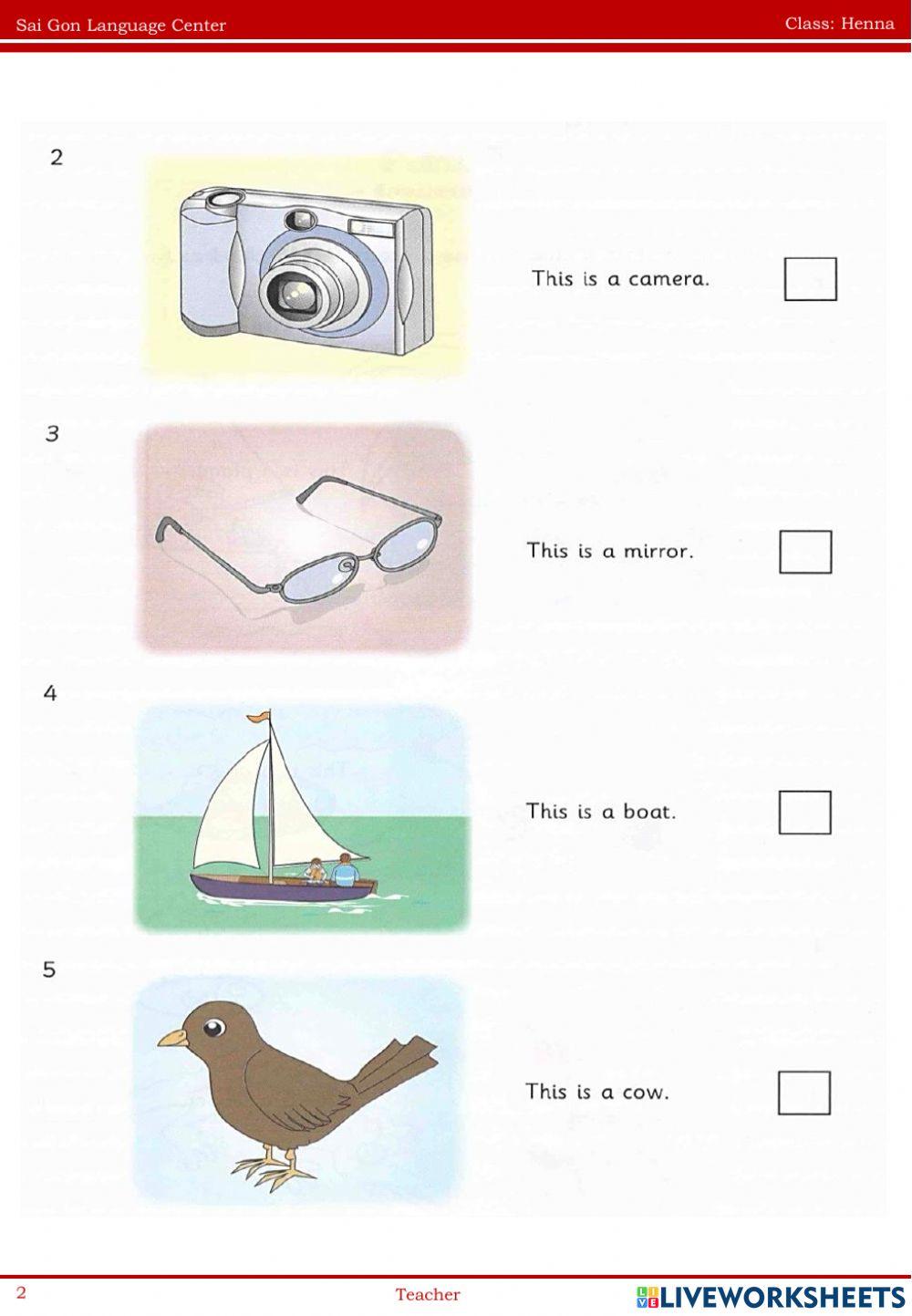 Henna Worksheet worksheet | Live Worksheets