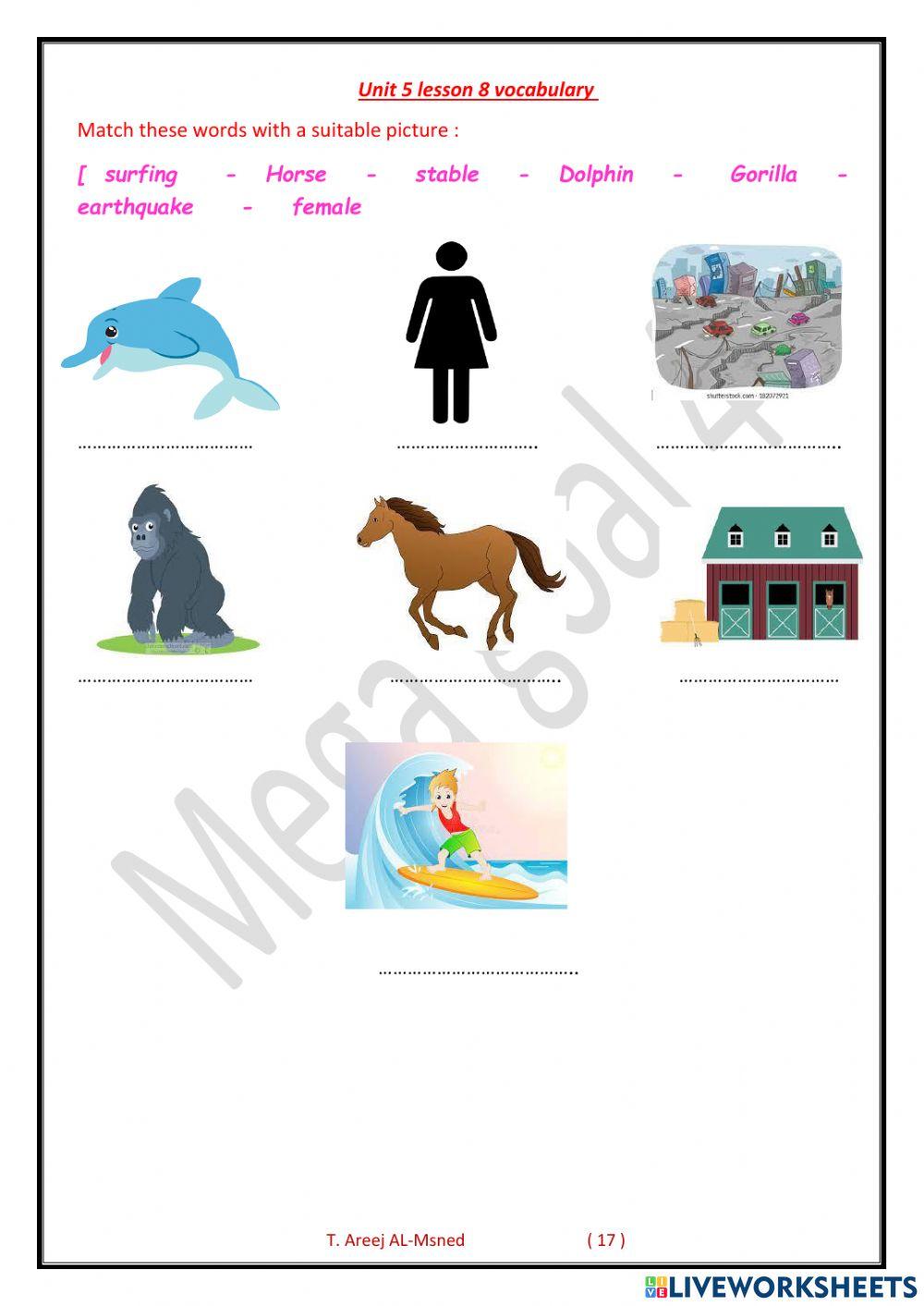 Mega goal 4 - unit 5 lesson 8 vocabulary worksheet | Live Worksheets