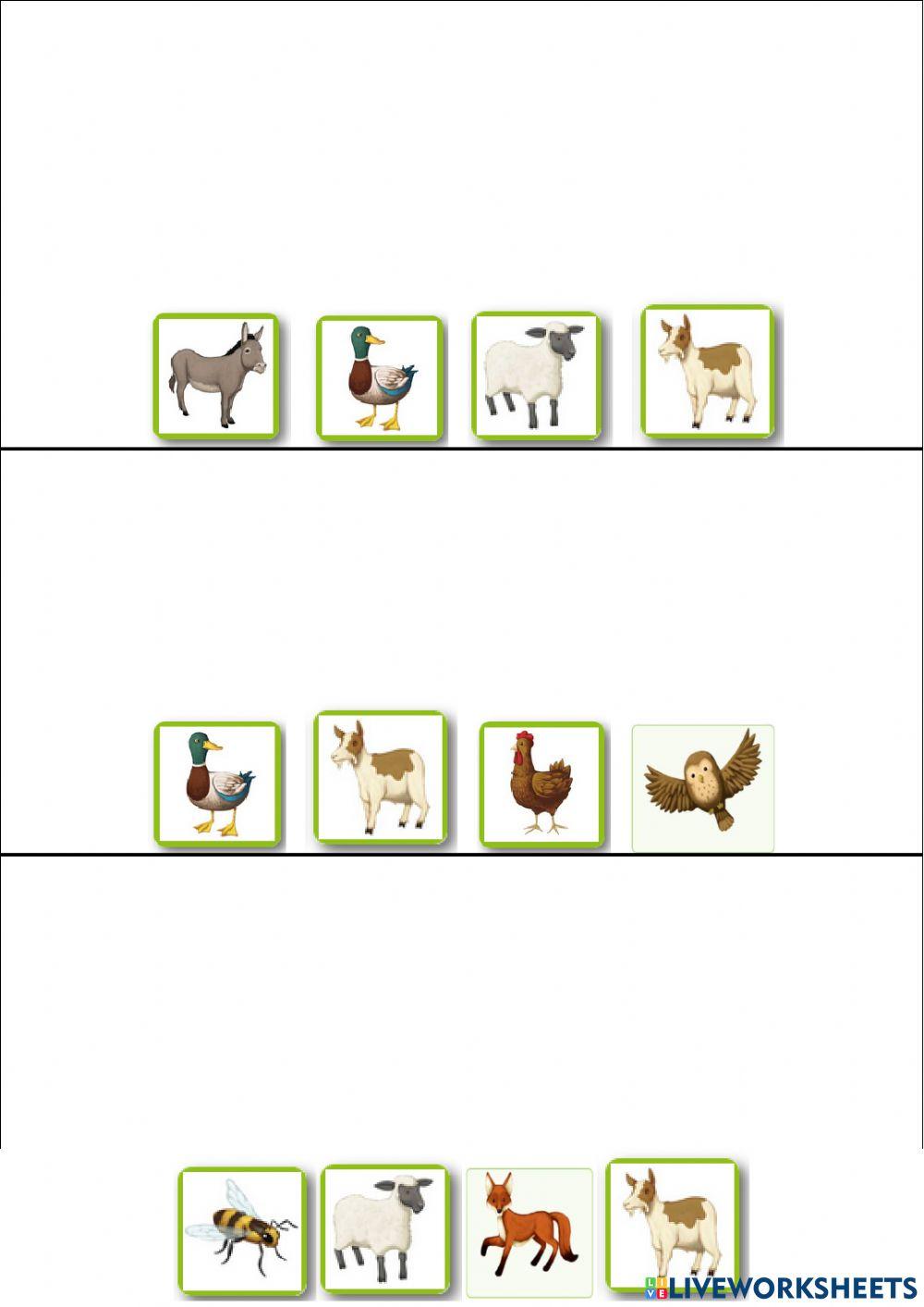 Animal description | profetamaracano | Live Worksheets