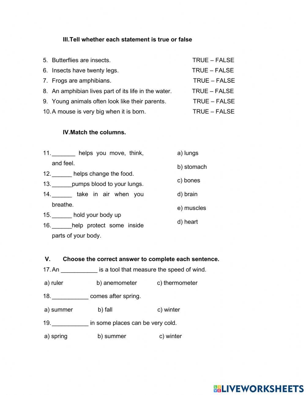 Science - Second Grade - First Period Test worksheet | Live Worksheets