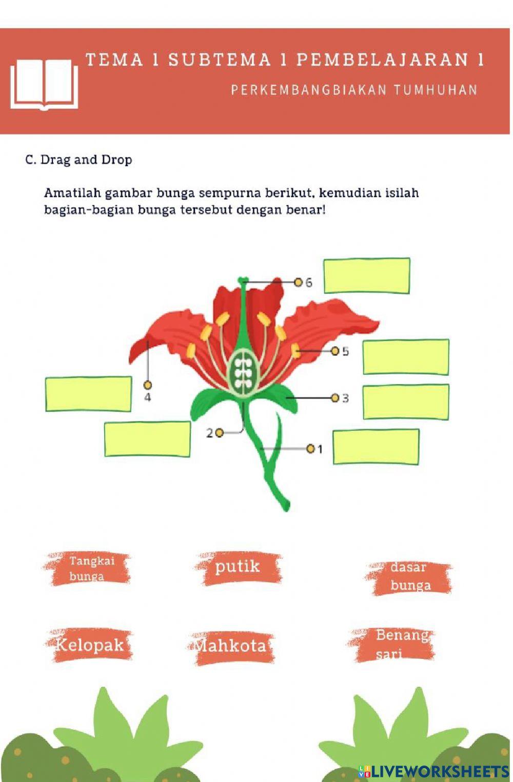 LKPD Kelas 6 tema 1 subtema 1 pembelajaran 1 activity | Live Worksheets