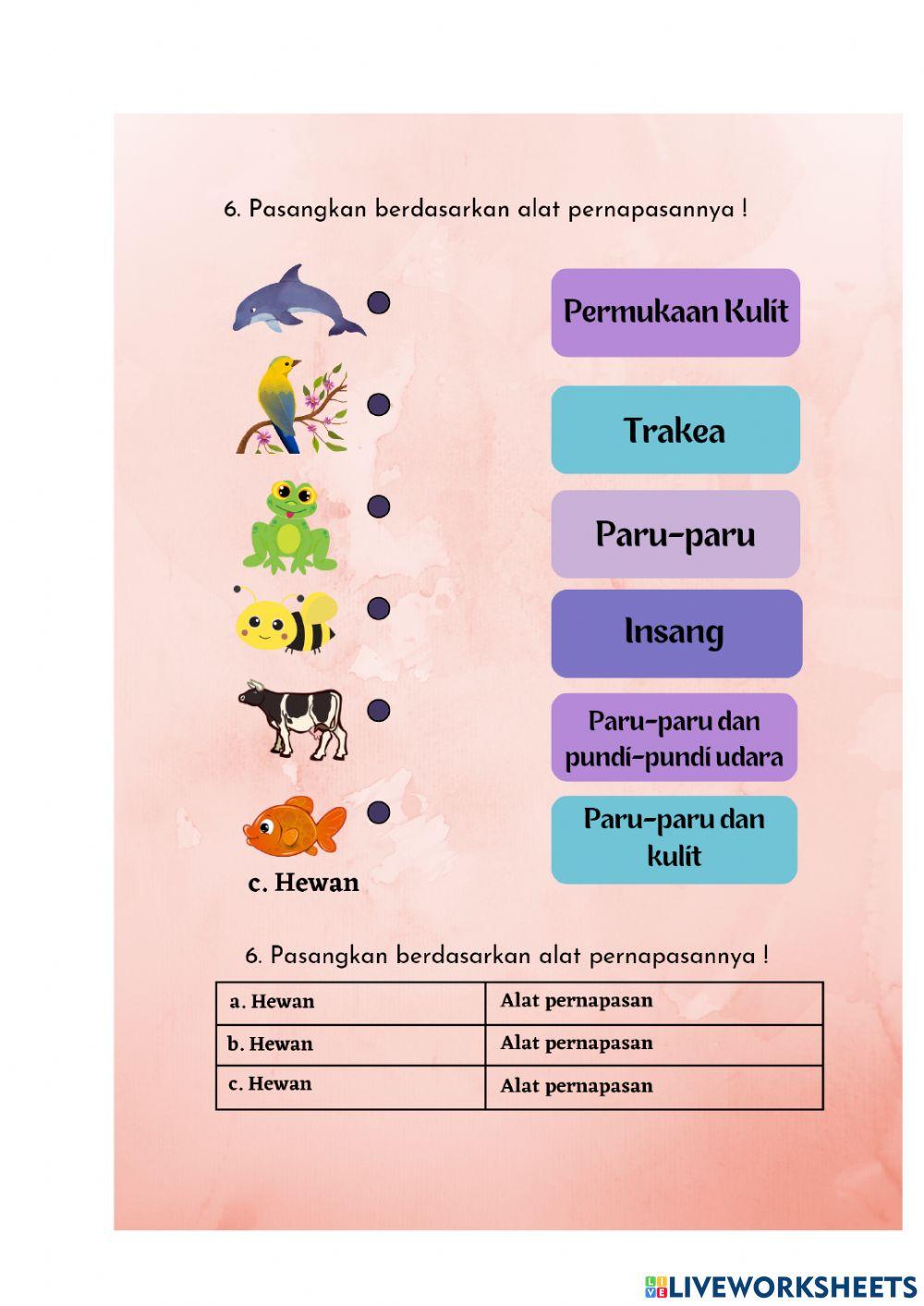 Liveworksheet E-lkpd IPA Kelas 5 worksheet | Live Worksheets