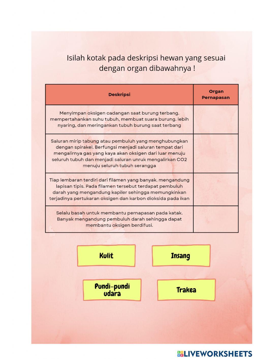 Liveworksheet E-lkpd IPA Kelas 5 worksheet | Live Worksheets