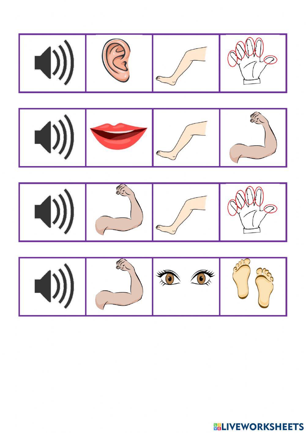 My body online exercise for Preschool | Live Worksheets