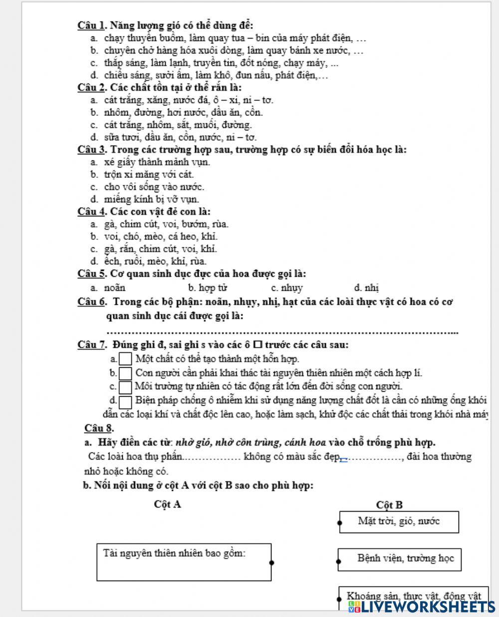 khoa cn4 online exercise for | Live Worksheets