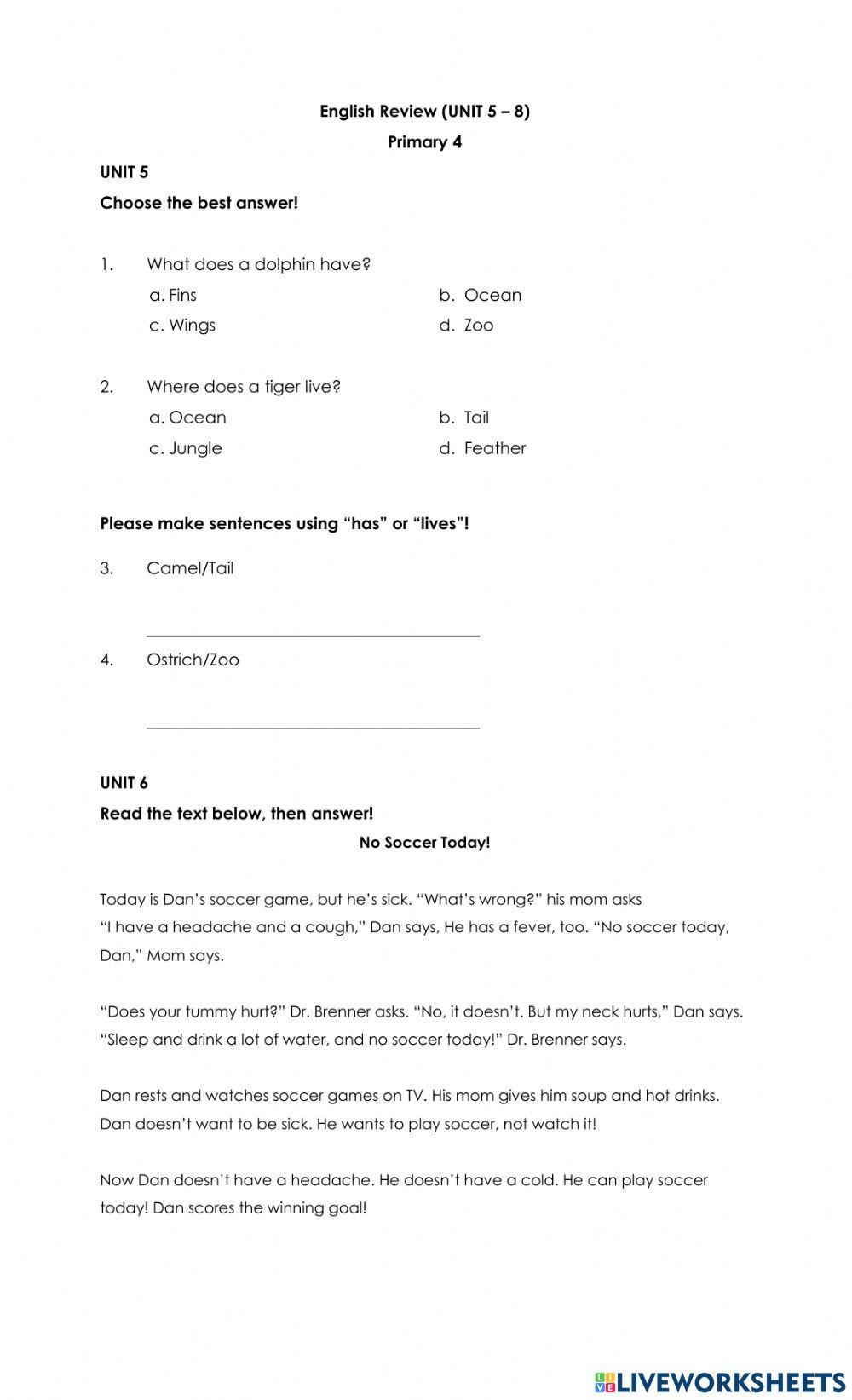 P4 English Review (Unit 5-8) online exercise for | Live Worksheets