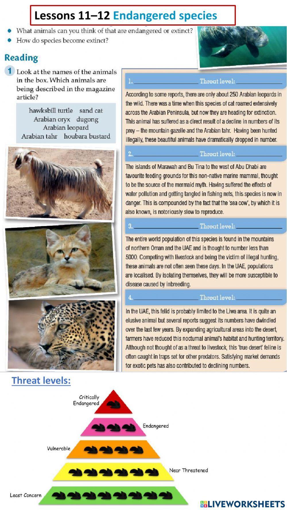 Endangered spec… | Free Interactive Worksheets | 2020558