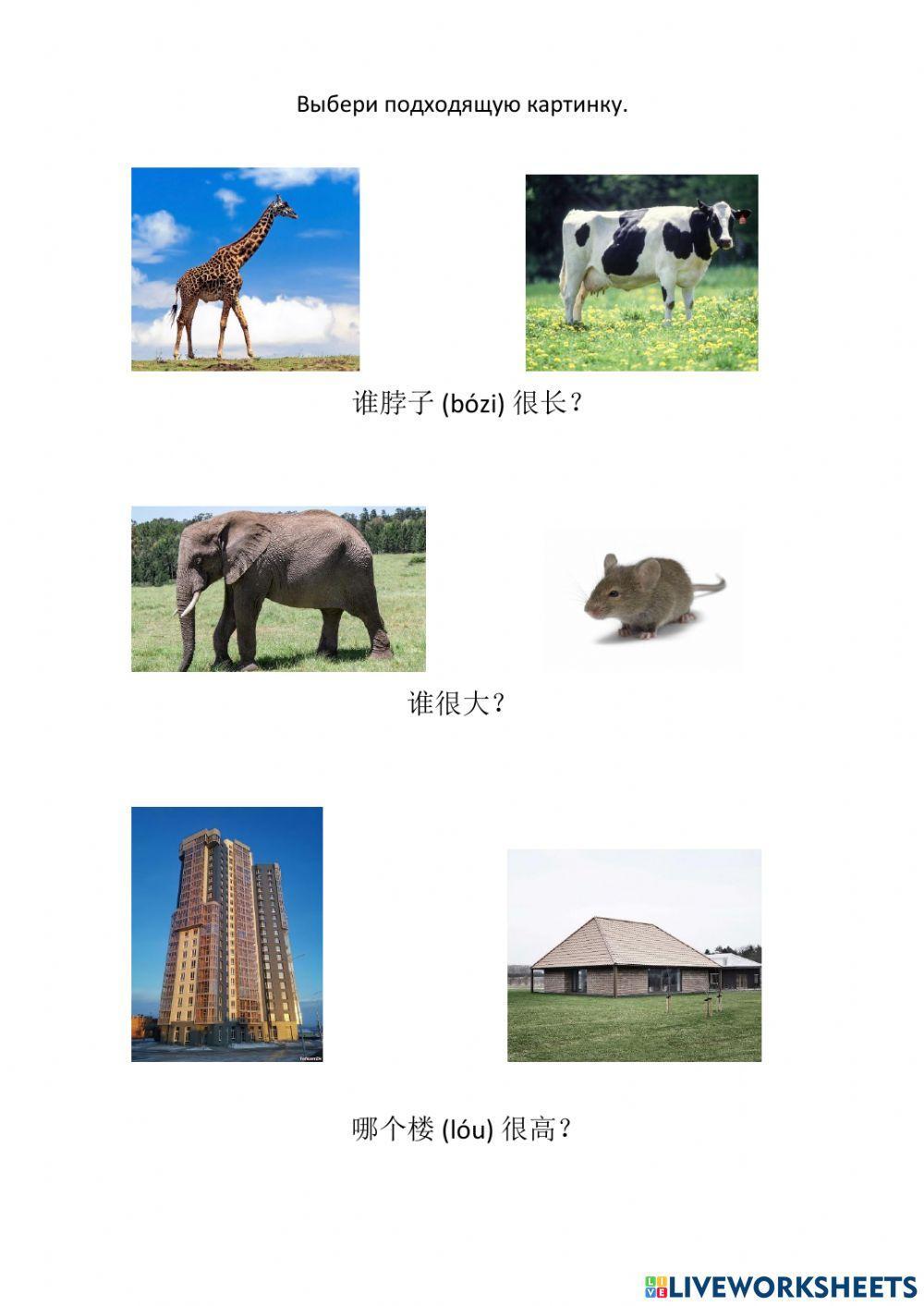 Long or short, big or small, tall or low worksheet | Live Worksheets