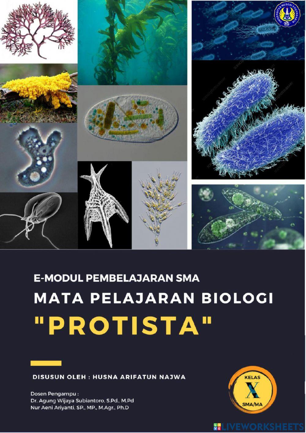 A. Cover dan pembuka modul protista worksheet | Live Worksheets