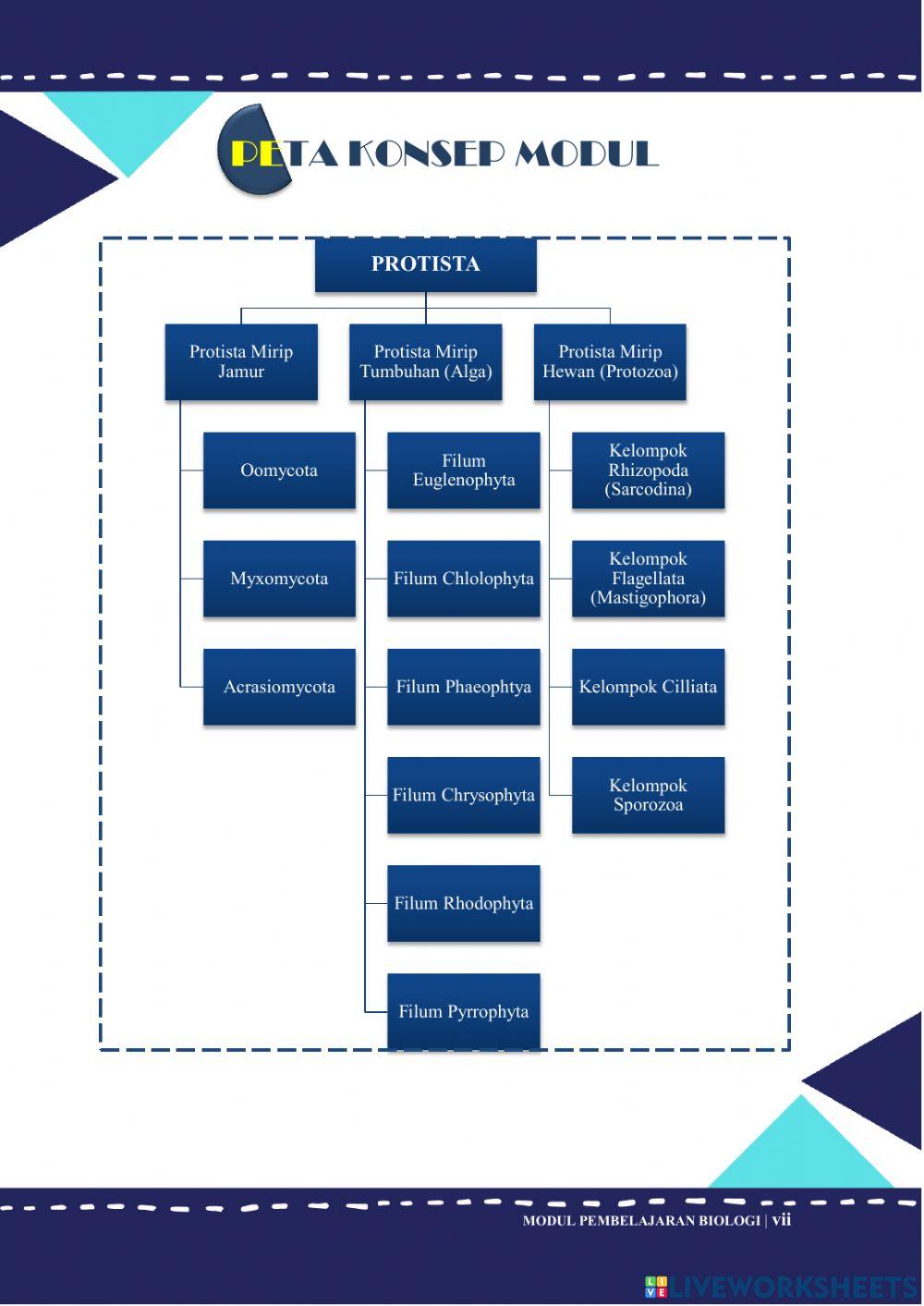 A. Cover dan pembuka modul protista worksheet | Live Worksheets