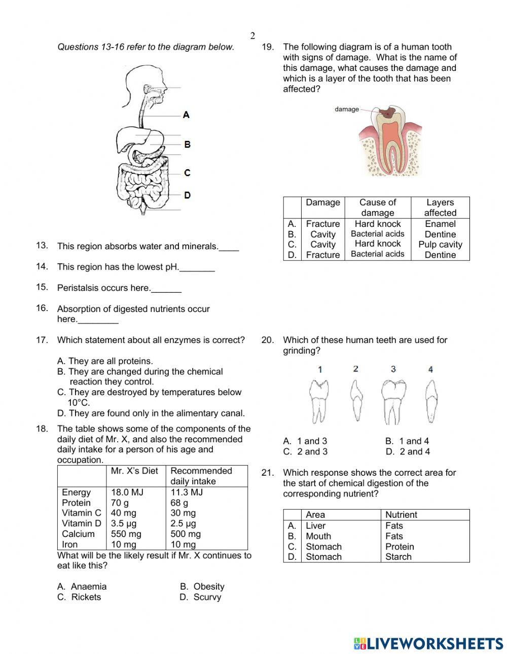 Digestive Syste… | Free Interactive Worksheets | 2056721
