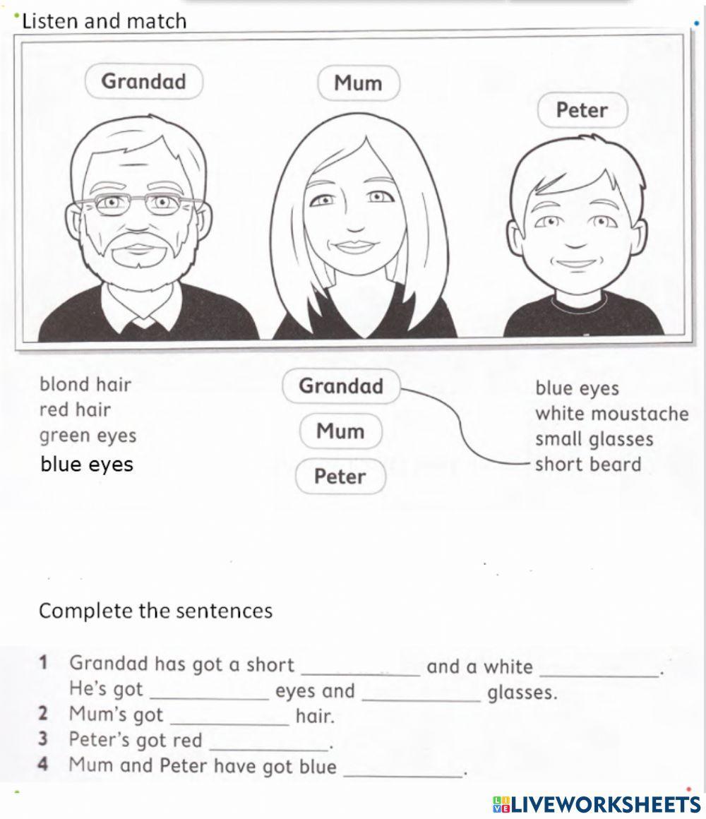 Describing faces OD 2 u 2.2 worksheet | Live Worksheets