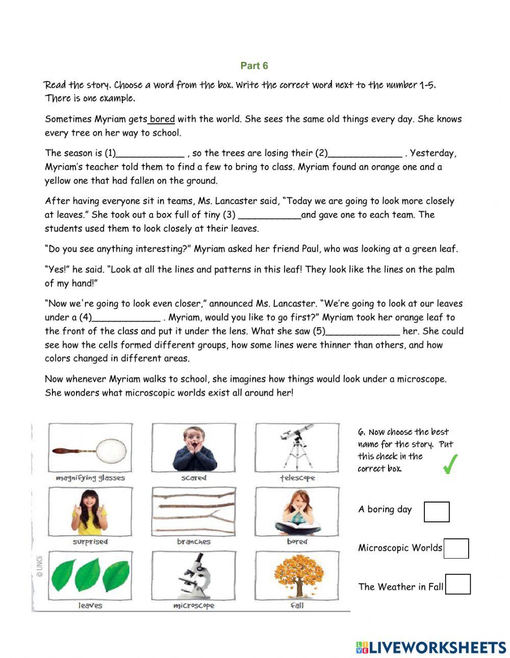 Test 6 online pdf worksheet | Live Worksheets